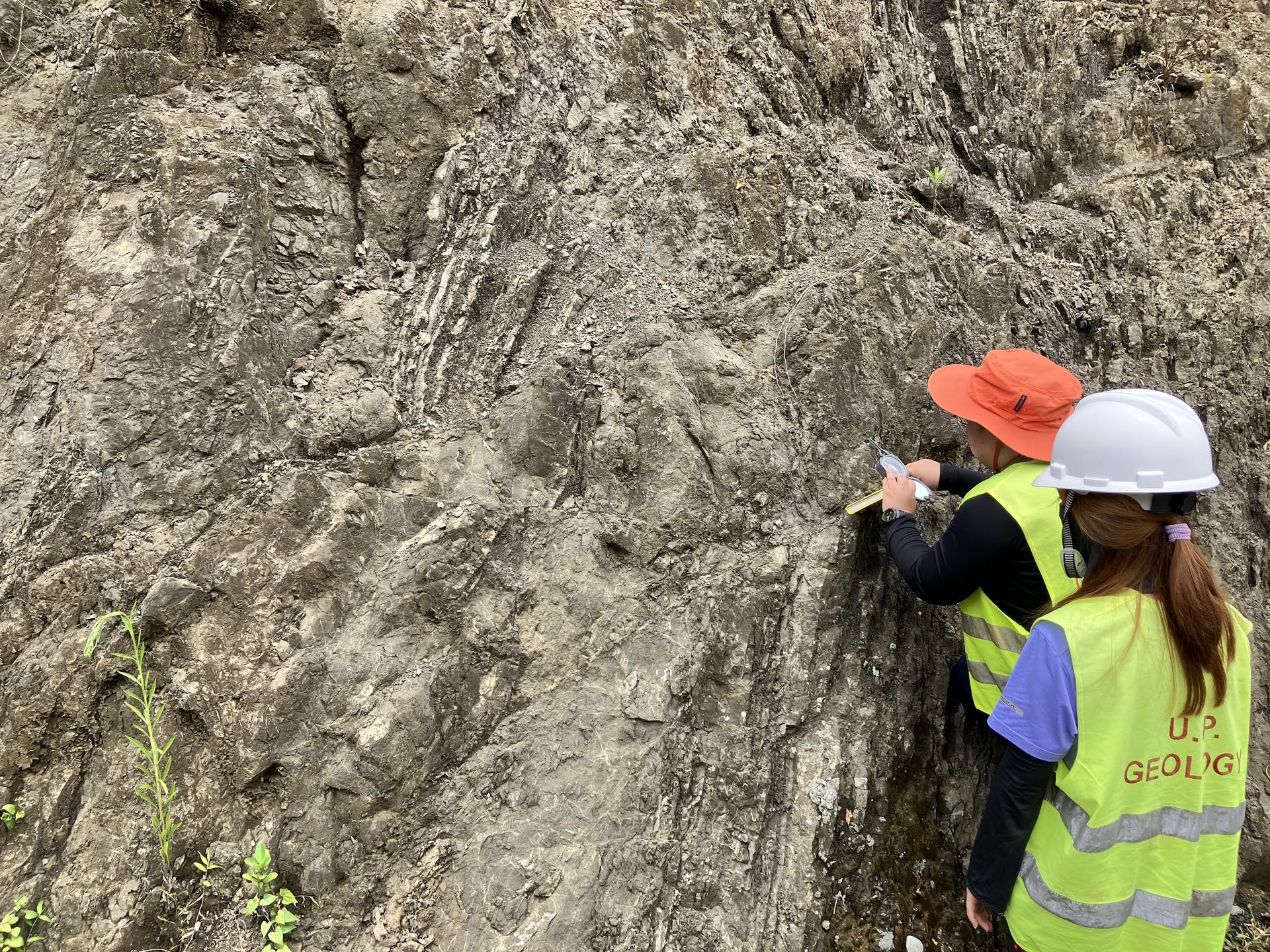 National Institute of Geological Sciences